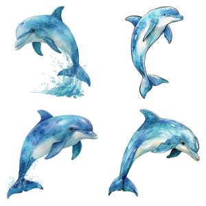 12x Dolphin PNG Clipart, Watercolor Ocean Animal Clip Art Set ...