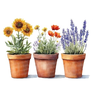 12 Watercolor Potted Flowers Clipart, Terracotta Pots With Wildflowers ...