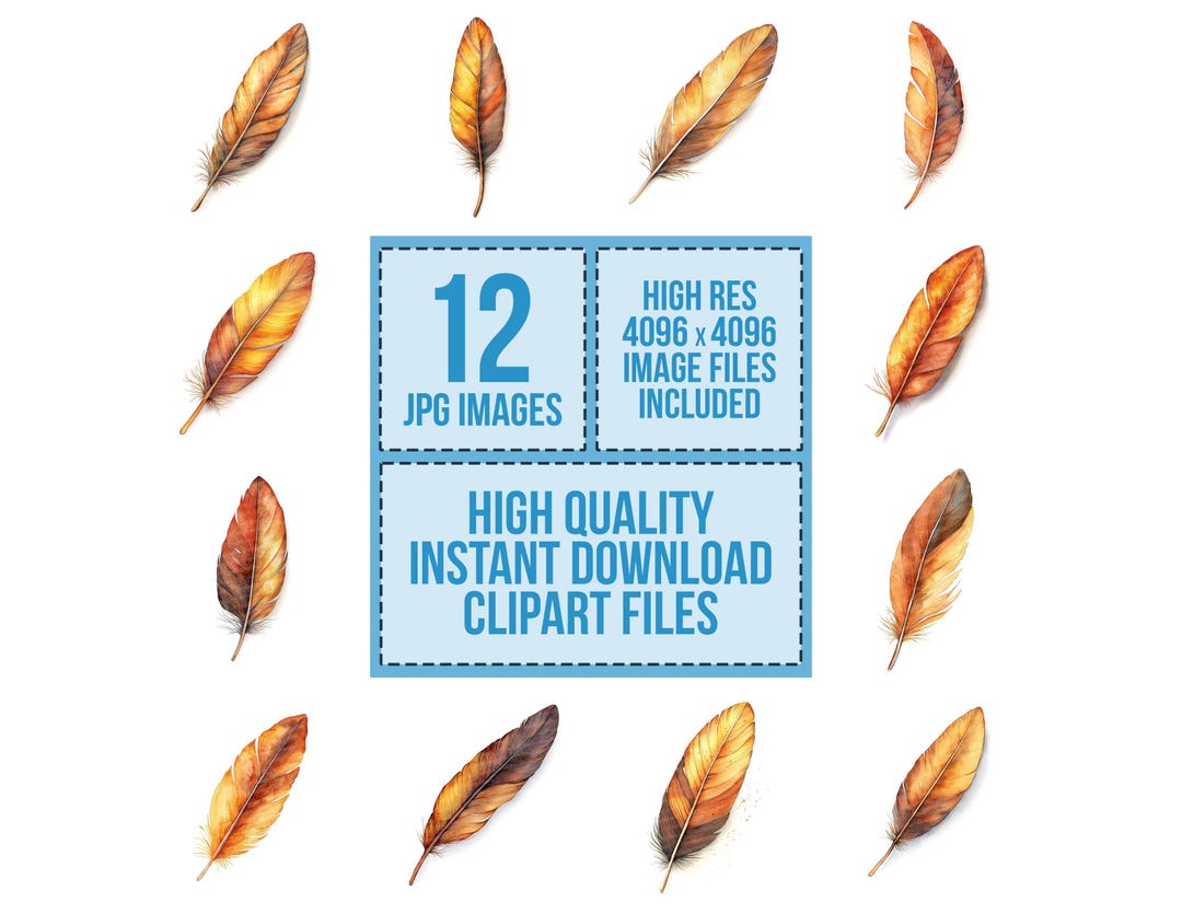 Boho Feather Clipart, 12 Watercolor Feather Designs, Printable Clipart ...