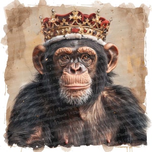 Cute Monkey Clipart, 12 Jpgs, Monkey Crown Clipart, Printable ...