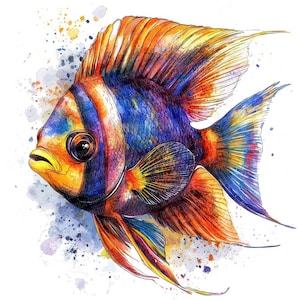 12 Tropical Fish Clip Art Pngs, Colorful Marine Life Illustrations ...