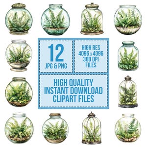 12x Watercolor Terrarium Clipart, Fern in Glass Jar PNG, Printable Clip ...