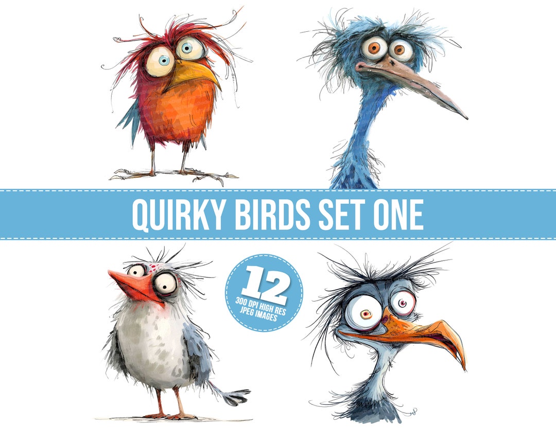 Quirky Birds Set Clipart, 12 Jpgs, Funny Birds Printable Image, Cute ...
