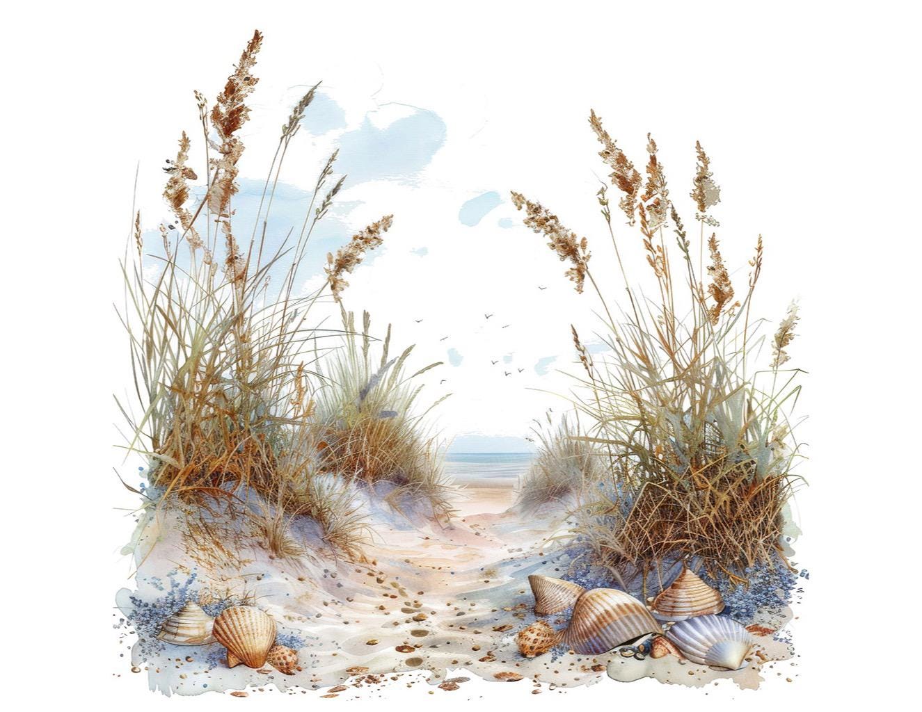 Coastal Shells PNG Clipart, 12x Sand Dunes Beach Clip Art Set ...