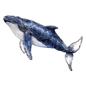 Whale PNG Clipart, 12x Watercolor Ocean Animals Clip Art Set, Printable ...