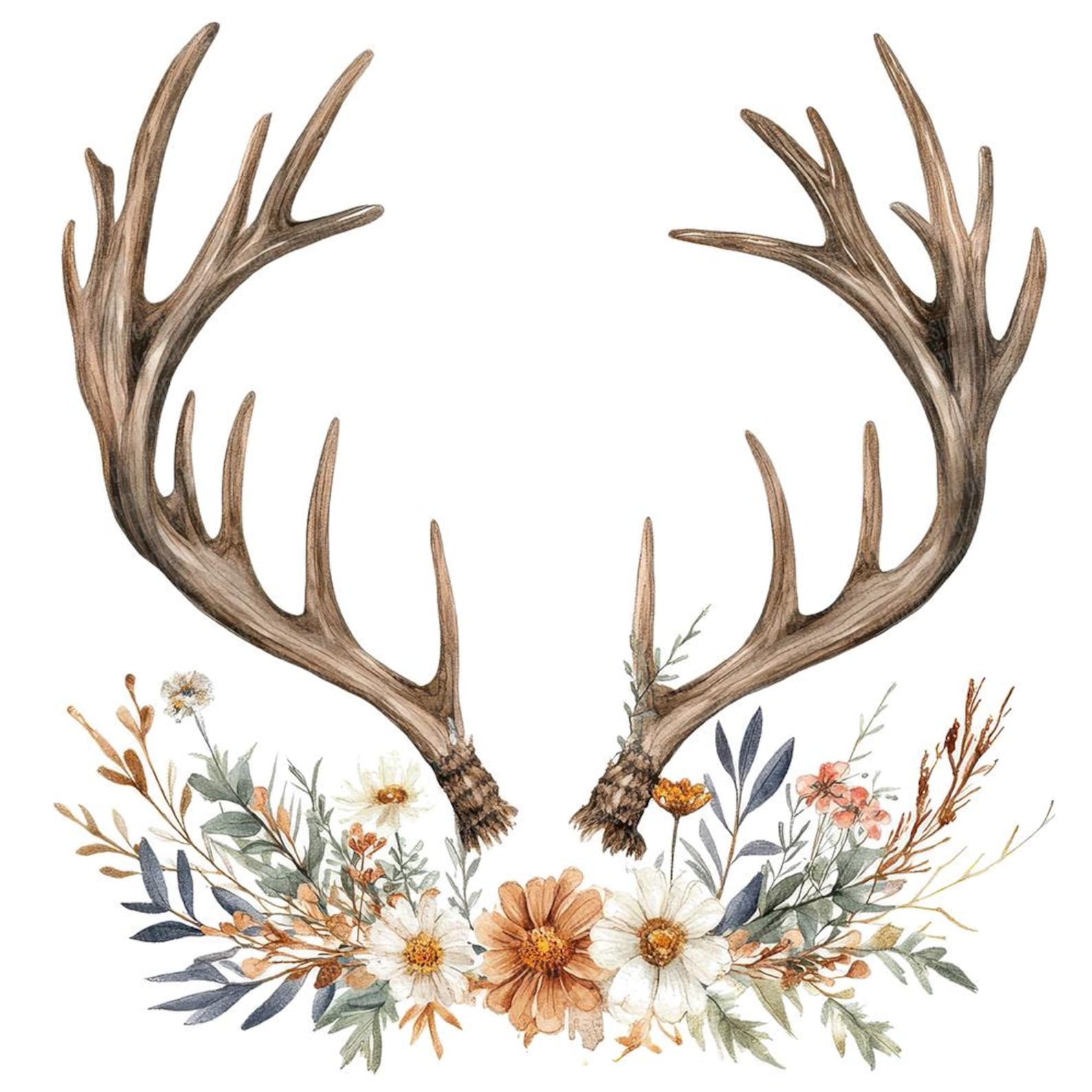 Deer Antler PNG Clipart, 12x Floral Antlers Clip Art Set, Printable ...