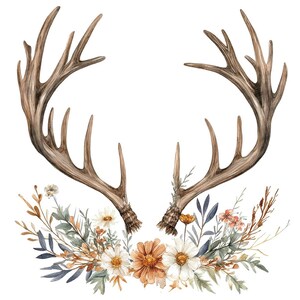 Deer Antler PNG Clipart, 12x Floral Antlers Clip Art Set, Printable ...