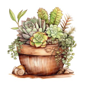 12x Potted Succulents Clipart, Pot Plants Floral Clipart, Printable ...