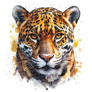 Wild Cats Clipart, Big Cats Watercolor Illustration, Printable Clipart ...