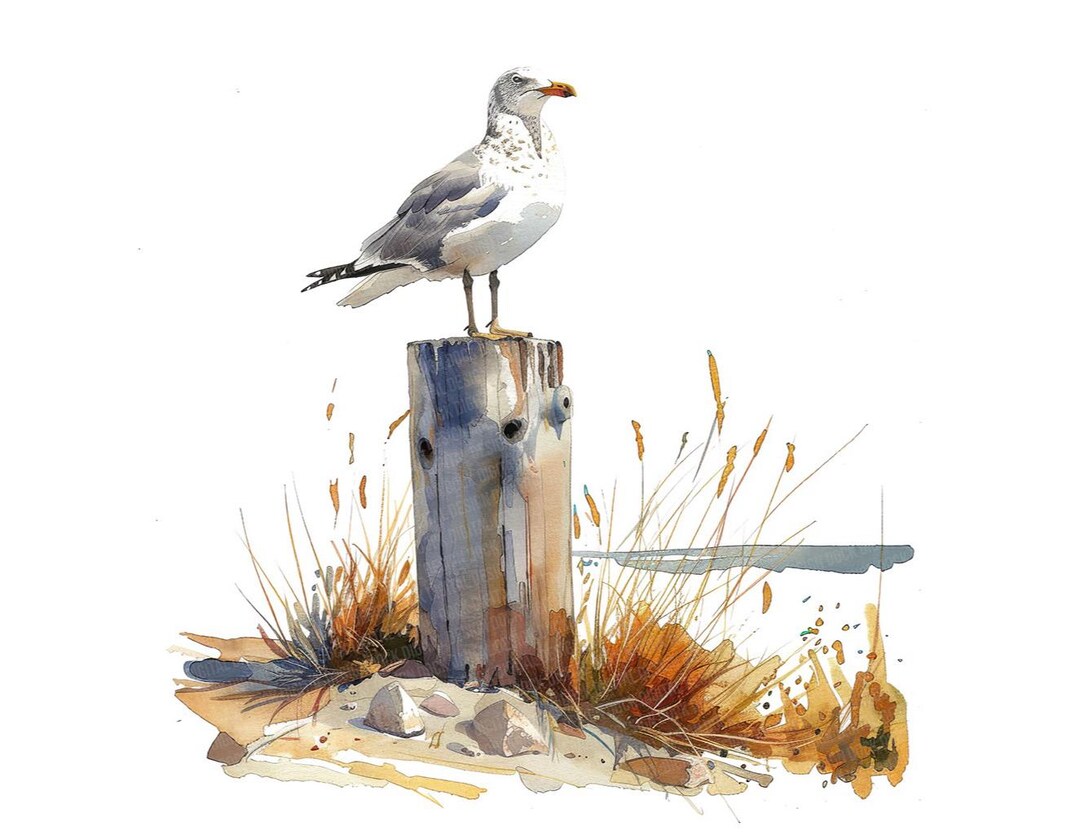 Seagull Clipart, 12x Coastal Bird on Post Art Set, Printable Watercolor ...
