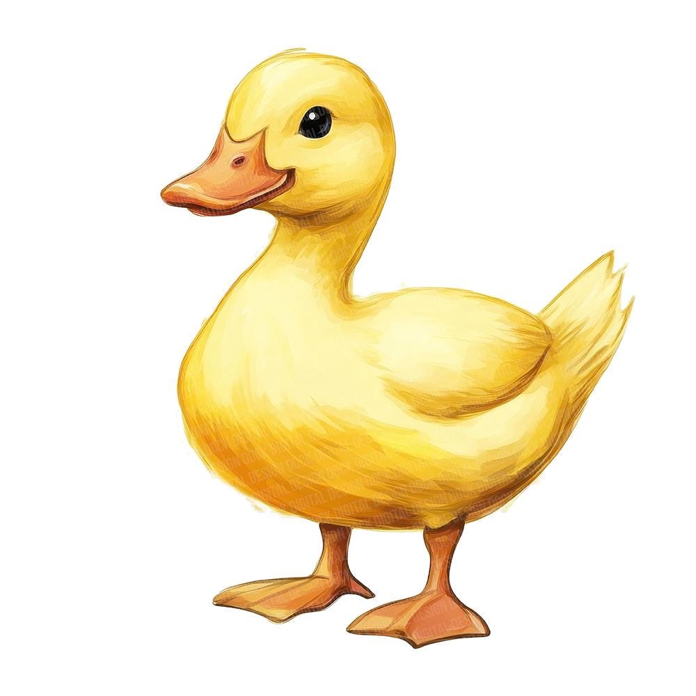 Duck PNG Clipart, 12x Oil Painted Farm Duck Clip Art Set, Printable ...