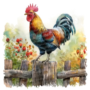 12x Farm Cockerel Clipart, Farm Fence Clipart, Printable Watercolor ...