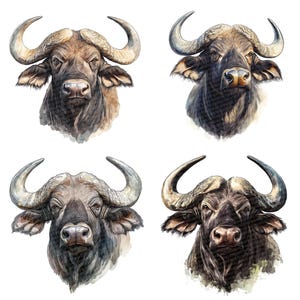 12 African Buffalo Head Clip Art, Watercolor Buffalo Animal PNG ...