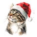 Christmas Cat Clip Art, 12x Santa Cat Watercolor Clipart Set, Printable ...