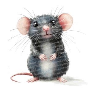 Rat Clip Art, 12x Watercolor Pet Rat Clipart Set, Printable Rat Art ...