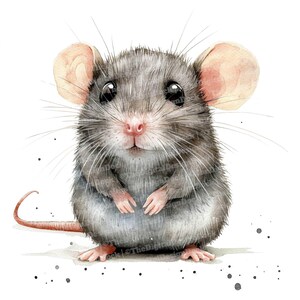 Rat Clip Art, 12x Watercolor Pet Rat Clipart Set, Printable Rat Art ...