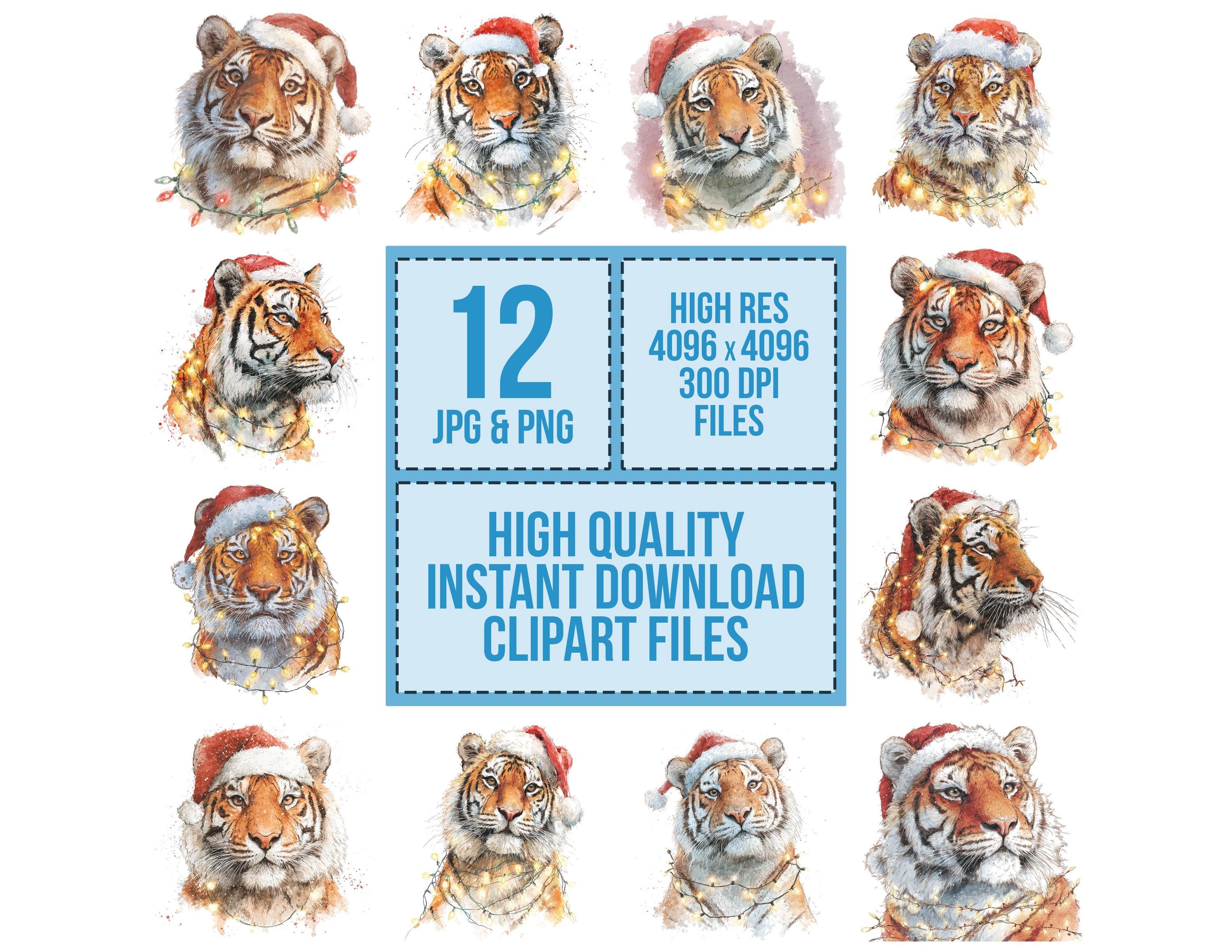 Christmas Tiger Clipart, 12x Santa Hat Tigers PNG, Printable Watercolor ...