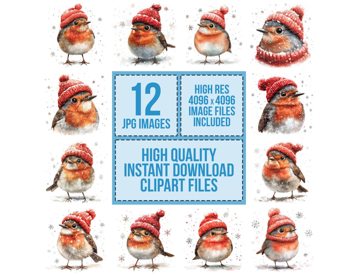 Christmas Robin Clip Art, 12x Winter Bird Clipart Set, Red Hat Robin ...
