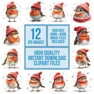 Christmas Robin Clip Art, 12x Winter Bird Clipart Set, Red Hat Robin ...