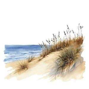 12x Sand Dune PNG Clipart, Watercolor Coastal Grass Clip Art Set ...