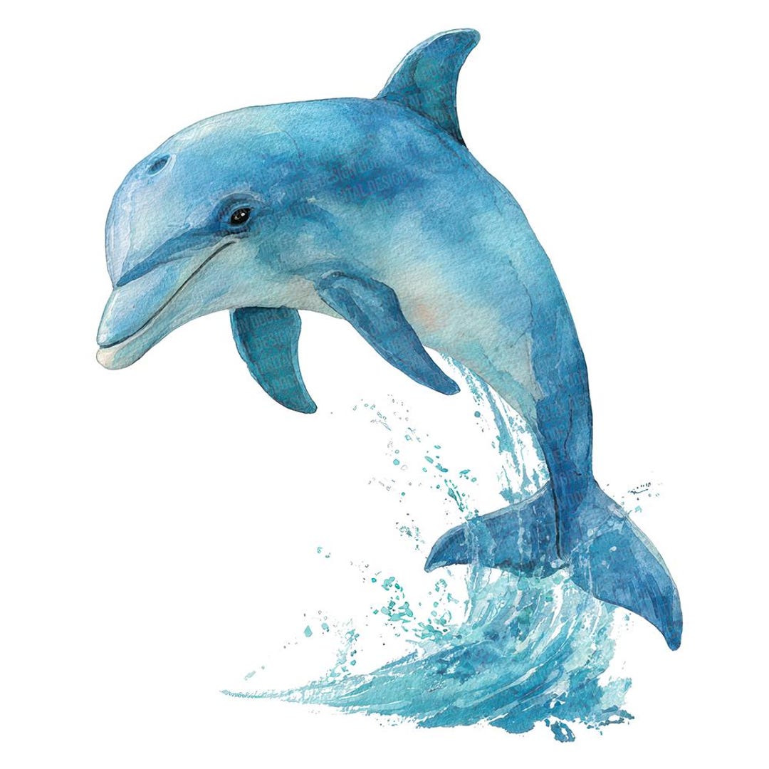 12x Dolphin PNG Clipart, Watercolor Ocean Animal Clip Art Set ...