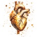 12x Gold Human Heart Clipart, Golden Hearts Clipart, Printable ...