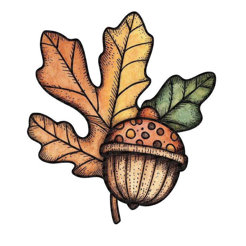 Acorn PNG Clip Art, 12x Folk Acorn and Leaf Clipart Set, Printable ...