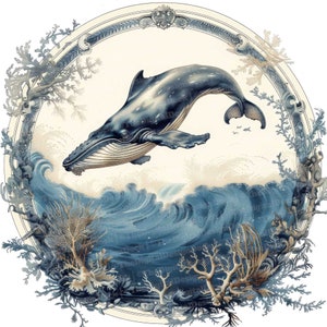 12x Vintage Whales Clipart, Ocean Whales Sea Clipart, Printable ...