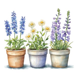 12 Watercolor Potted Flowers Clipart, Terracotta Pots With Wildflowers ...