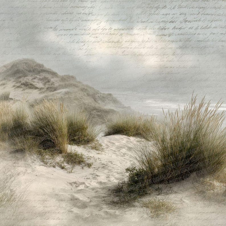12x Misty Dune Junk Journal Paper Script Grass Digital Paper Pack ...