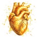12x Gold Human Heart Clipart, Golden Hearts Clipart, Printable ...