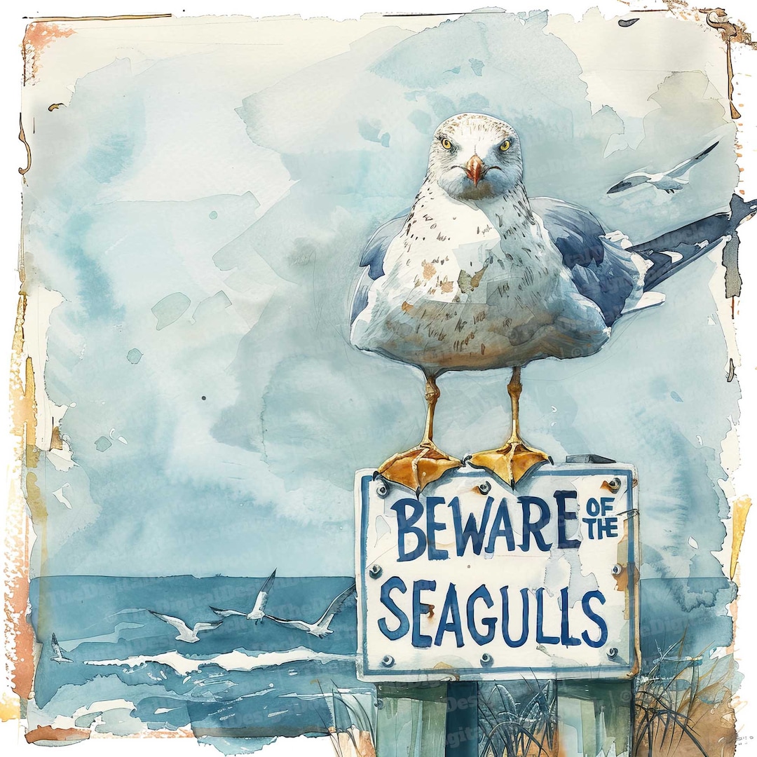12x Seagull Clipart, Beware of the Seagulls Clipart, Printable ...