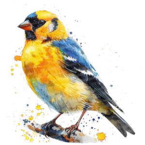 12 Goldfinch Clipart, Watercolor Bird Clipart, Printable Watercolor ...