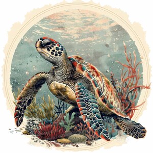 12x Vintage Sea Turtle Clipart, Floral Sea Clipart, Printable ...