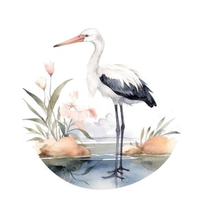 12x Watercolor Stork Clipart, Stork Design Clipart, Printable ...