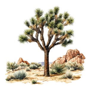 Joshua Tree PNG Clipart, 12x Desert Landscape Clip Art Set, Printable ...