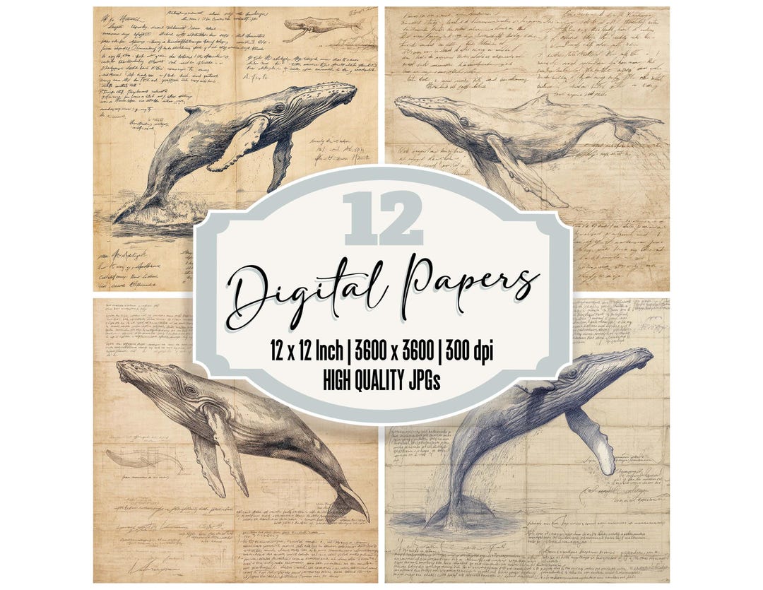 12 Humpback Whale Sketch Digital Paper Vintage Junk Journal Paper ...
