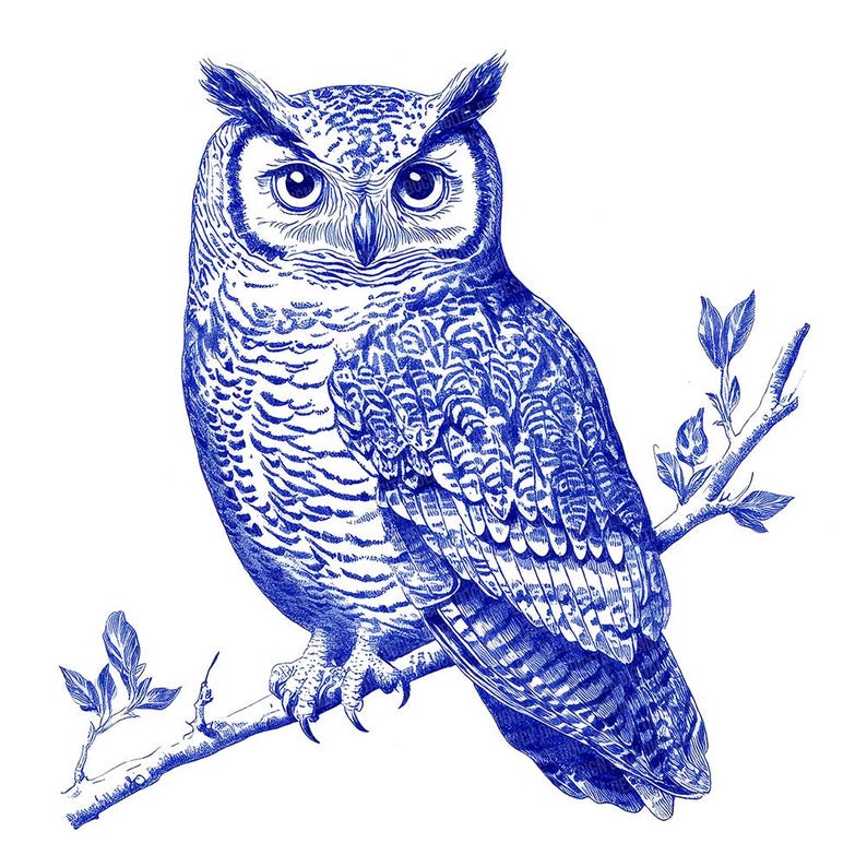 Delft Blue Owl Clipart, 12x Watercolor Owl PNG Set, Printable Bird Clip ...