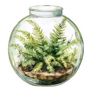 12x Watercolor Terrarium Clipart, Fern in Glass Jar PNG, Printable Clip ...