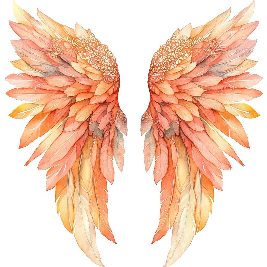 Peach Angel Wings PNG Clipart, 12x Watercolor Feather Wings Clip Art ...