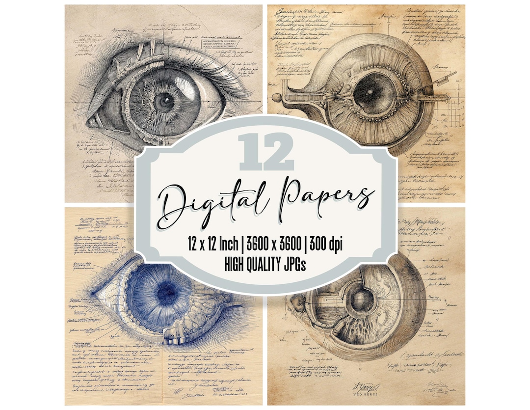 12x Human Eye Section Sketch Junk Journal Paper Anatomical Drawing ...