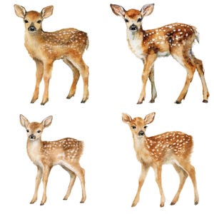 Fawn Clipart PNG, 12x Watercolor Forest Animal Clip Art Set, Printable ...