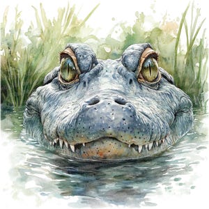 Alligator Clipart, 12x Watercolor Reptile Art, High Quality Jpgs ...