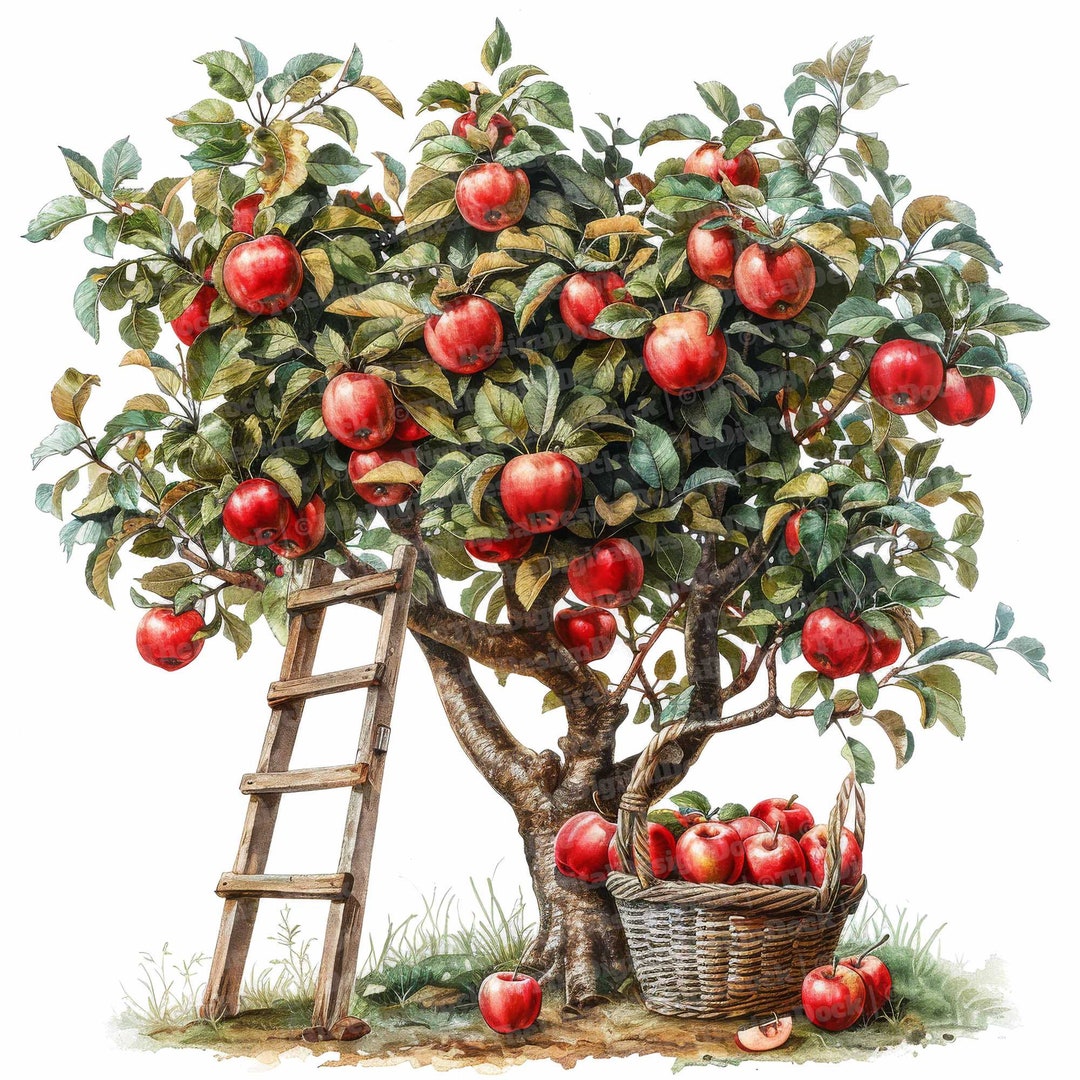 12x Apple Trees Clipart, Apple Harvest Clipart, Printable Watercolor ...