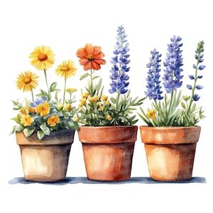 12 Watercolor Potted Flowers Clipart, Terracotta Pots With Wildflowers ...