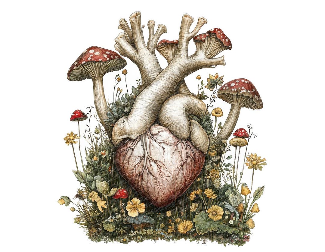 Forest Heart PNG Clipart, 12x Woodland Mushroom Heart Clip Art Set ...