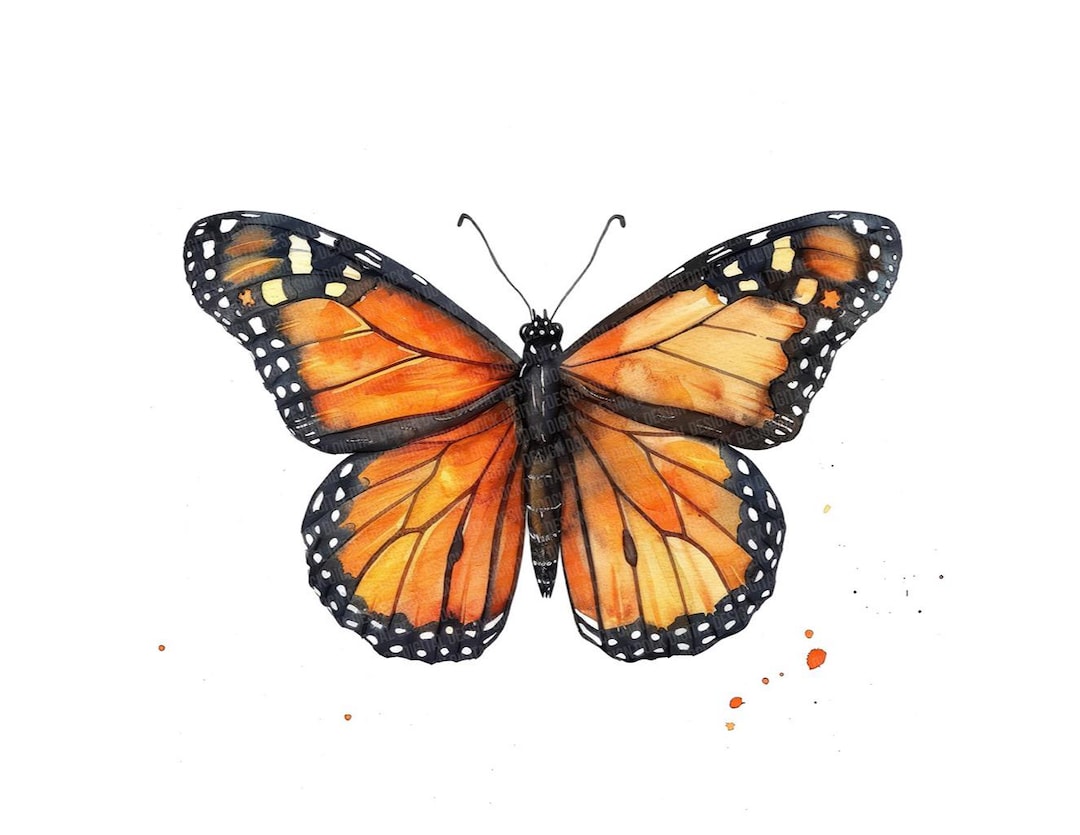 Monarch Butterfly PNG Clipart, 12x Butterfly Clip Art Set, Printable ...