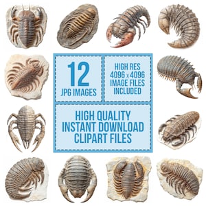 12 Fossil Trilobite Clipart, Watercolor Prehistoric Insect Fossil ...