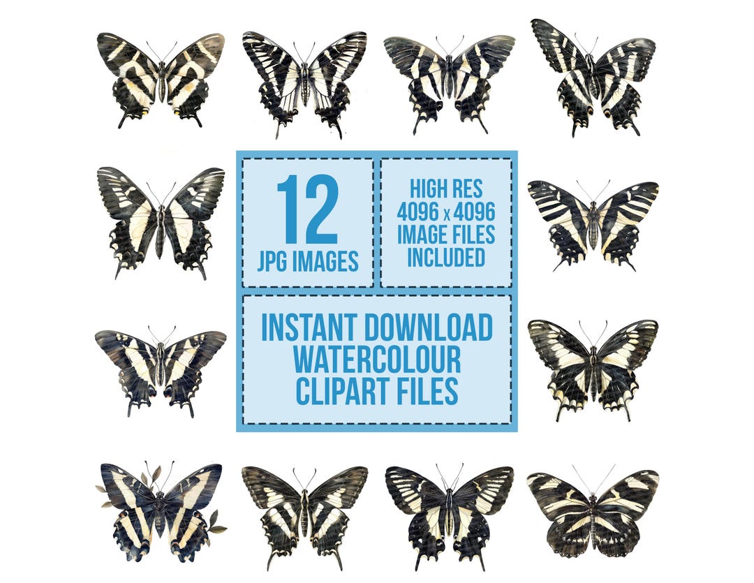 12 Zebra Longwing Butterfly Clipart, Watercolor Butterfly Art ...