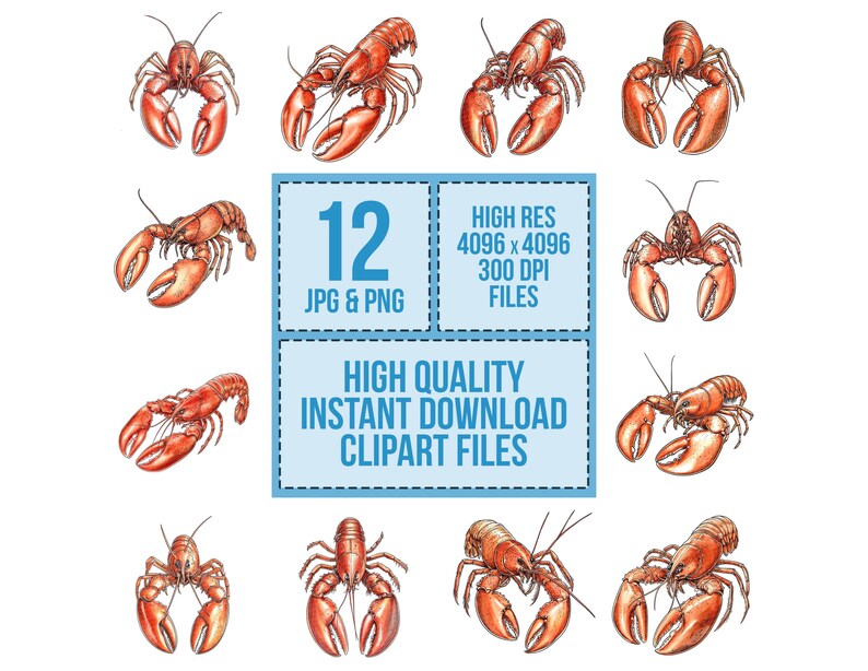 Red Lobster PNG Clipart, 12x Watercolor Marine Life Clip Art Set ...
